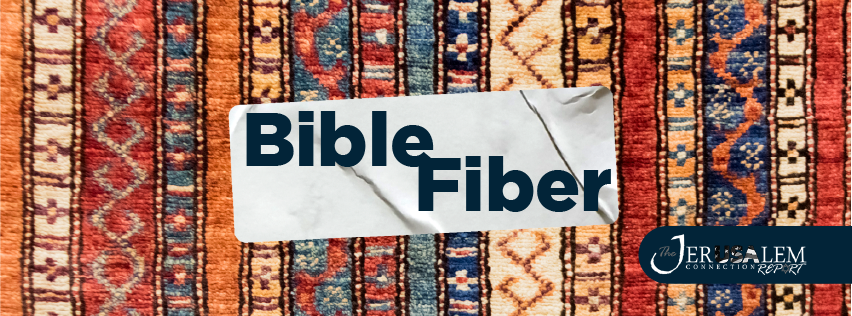Bible Fiber: Textures and Shades of the Prophetic Tapestry - The ...